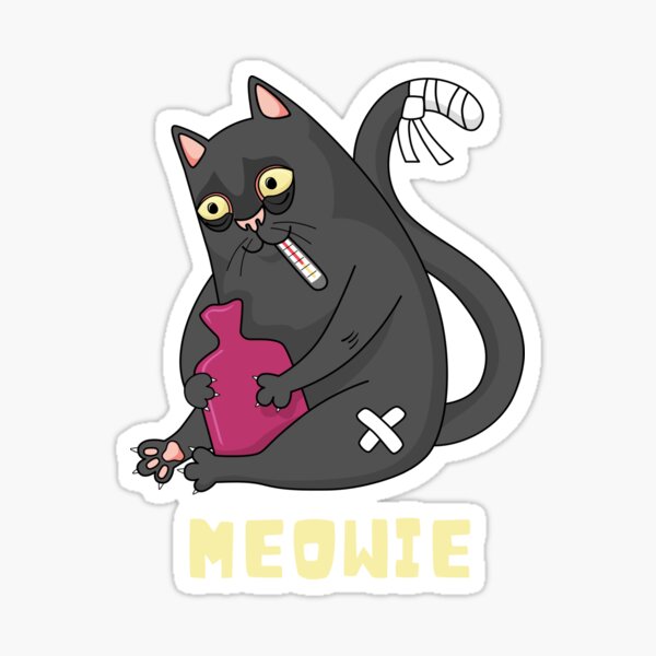 "MEOWIE-Funny Cat with an owie-Pun-Idiom-Play On Words" Sticker for ...