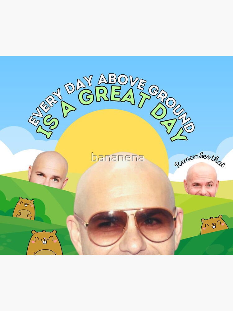 "Every Day Above Ground is a Great Day" Sticker for Sale by bananena ...