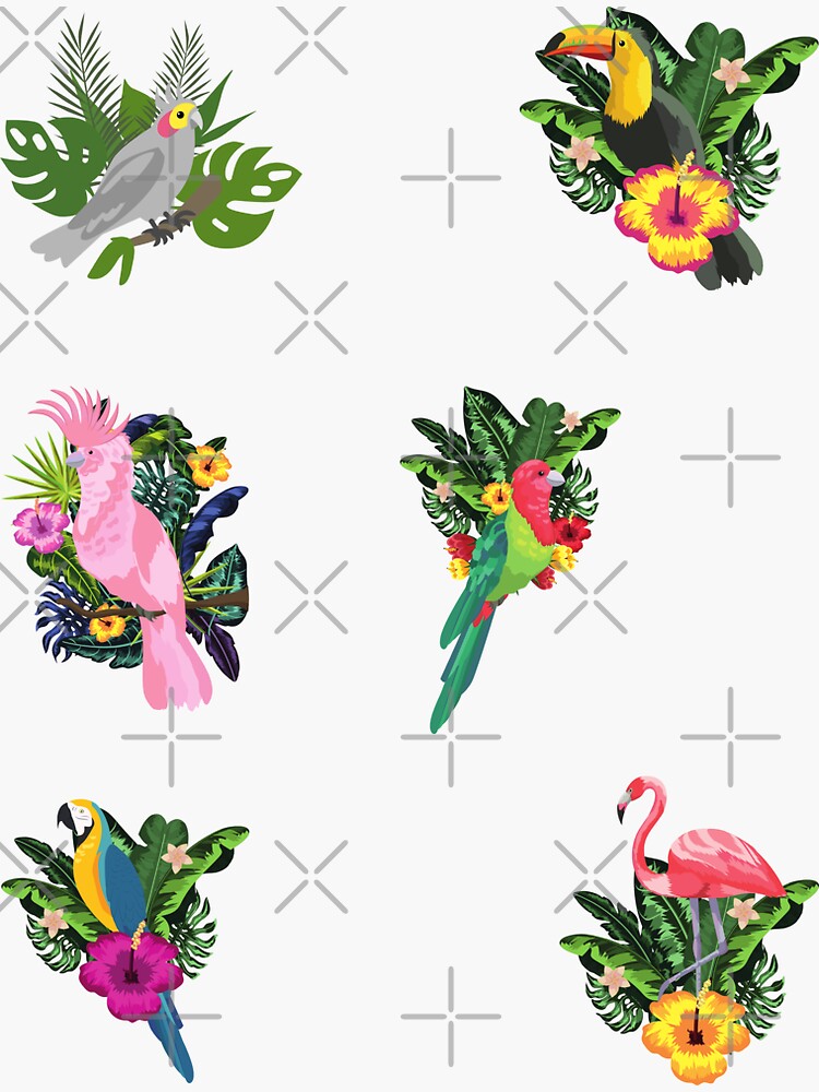 "Sticker pack Exotic Birds" Sticker for Sale by Bettina2311 | Redbubble