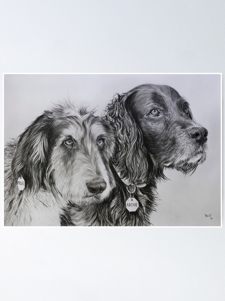 ""Millie and Archie" - Dog portraits" Poster by RmvPortraitsArt | Redbubble