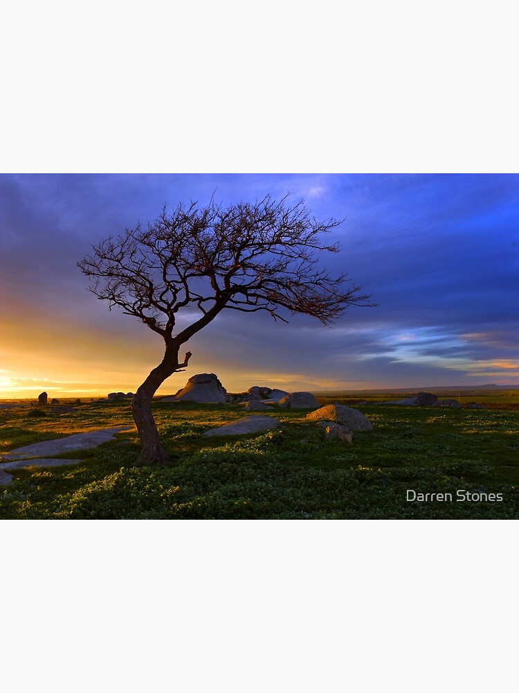 "Dog Rocks" Art Print for Sale by Darren Stones | Redbubble