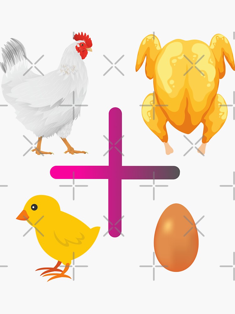 Ciclo De Vida Del Pollo Para Niños