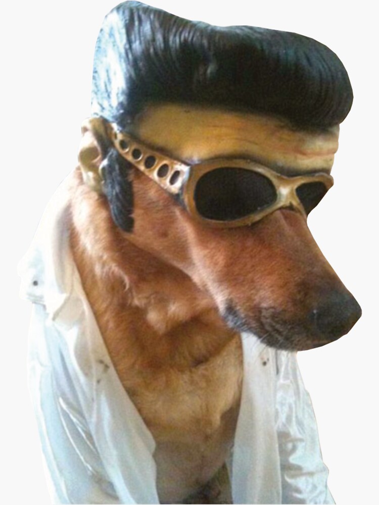 "Elvis Dog Meme " Sticker for Sale by Sunshine995 | Redbubble