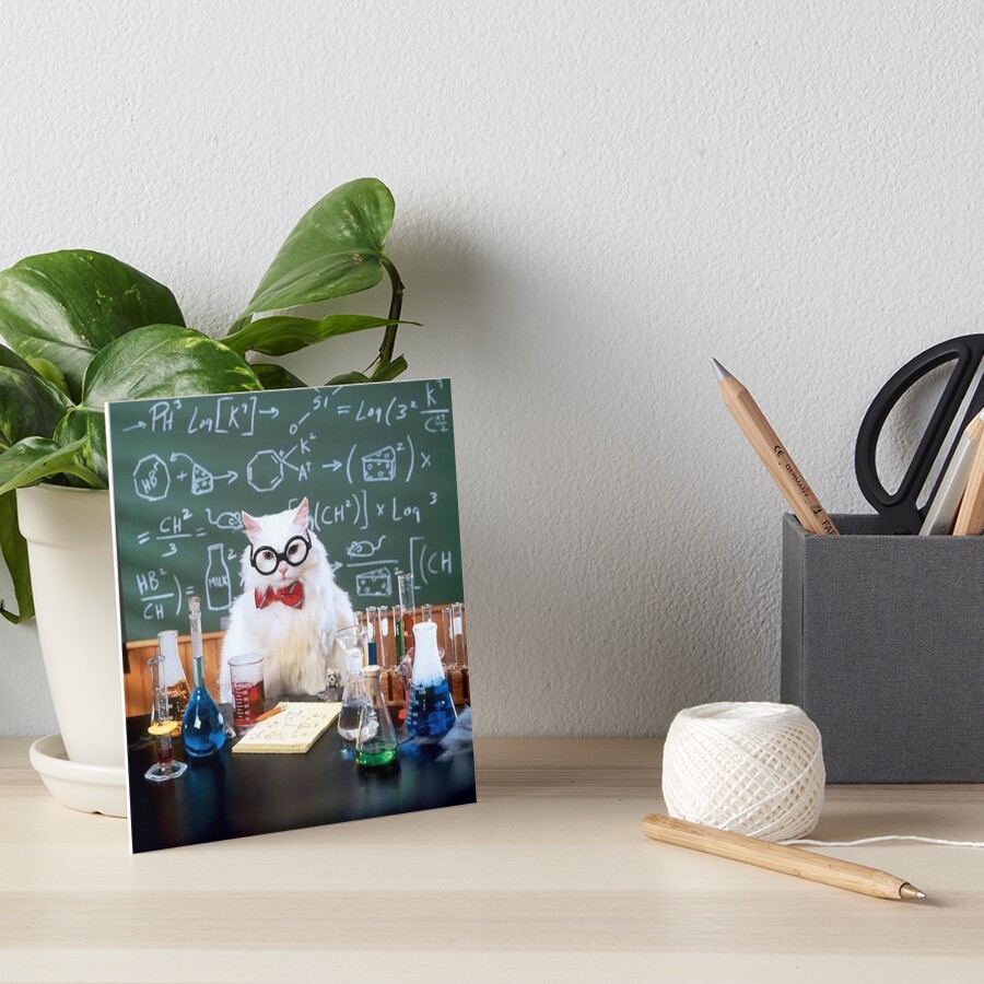 "Chemistry Cat" Poster for Sale by Meme Economy | Redbubble