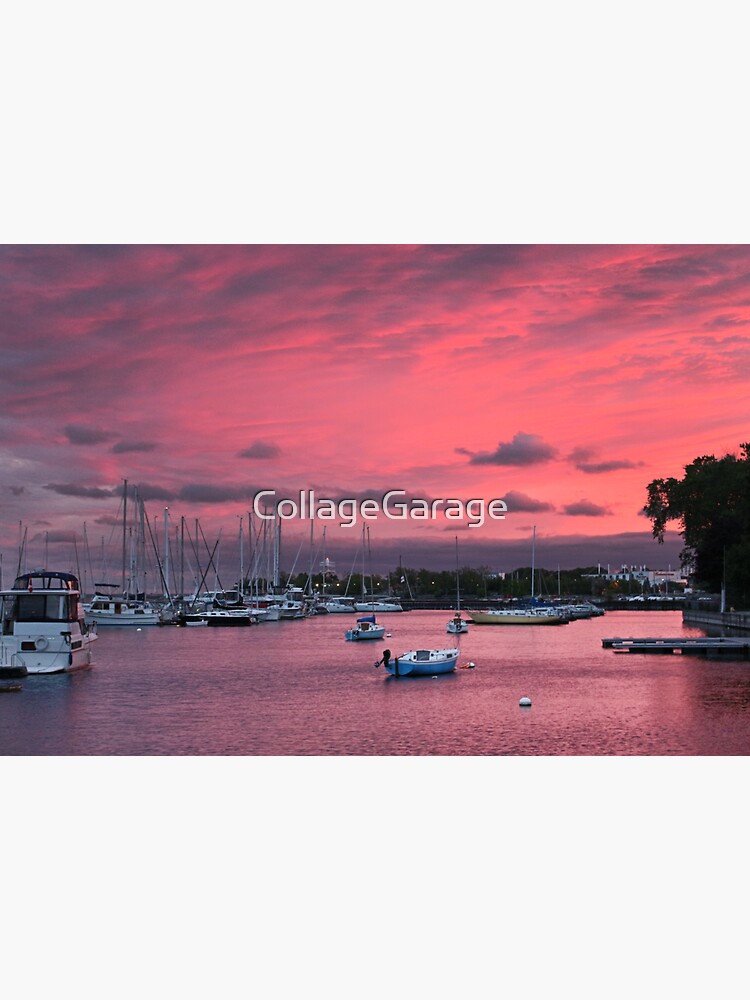 "Pink Bay" Sticker for Sale by CollageGarage | Redbubble