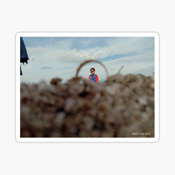 "Ideal" Sticker by Pertapa11 | Redbubble