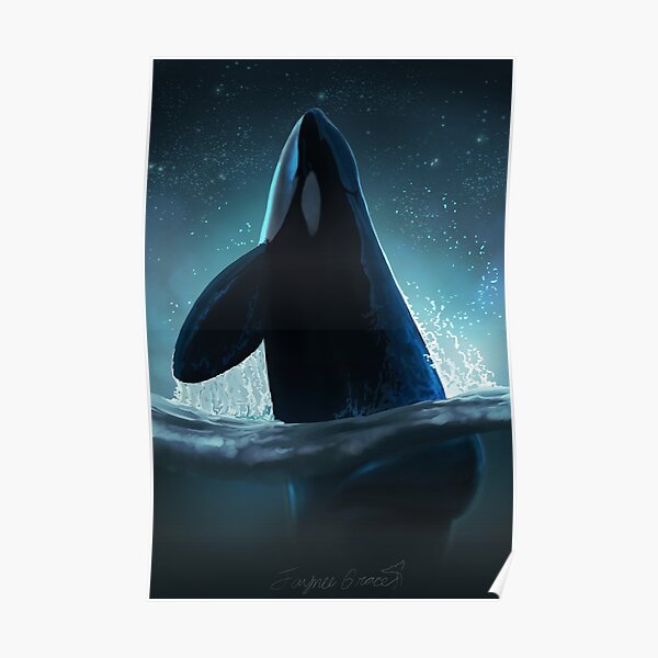 "Keiko the Killer Whale" Poster by jayneegraceart | Redbubble