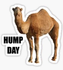 Hump Day: Stickers | Redbubble