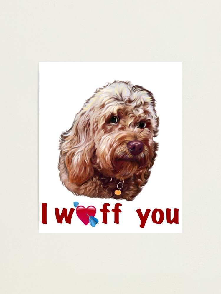 "The Best Valentine’s Day Gift ideas 2022, Cavapoo I love you, I woof ...