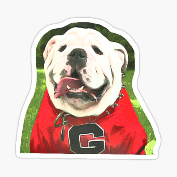"UGA mascot" Sticker by Yurlovpotapamal | Redbubble