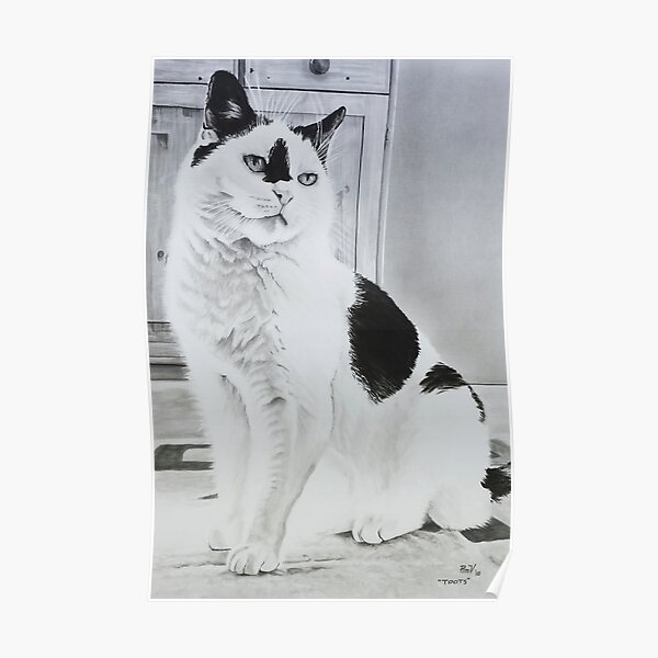 ""Toots" - Cat portrait" Poster by RmvPortraitsArt | Redbubble