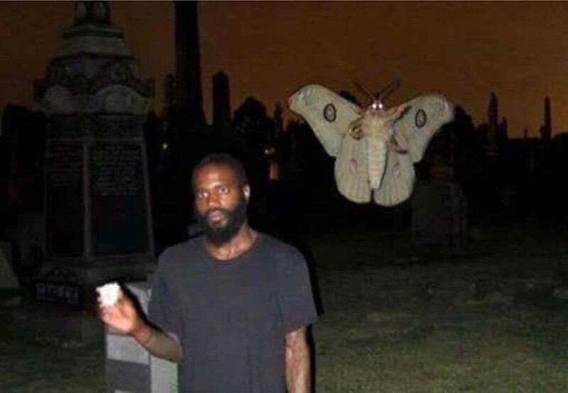"MC Ride with moth friend" by Bigfluffywilly | Redbubble