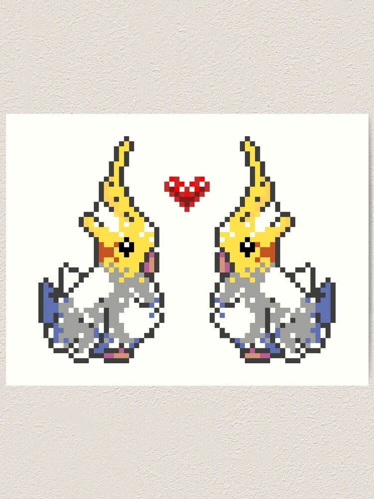 "Cockatiel Mutations: Pied Couple | Love Valentines Birbs Parrot Birbs ...