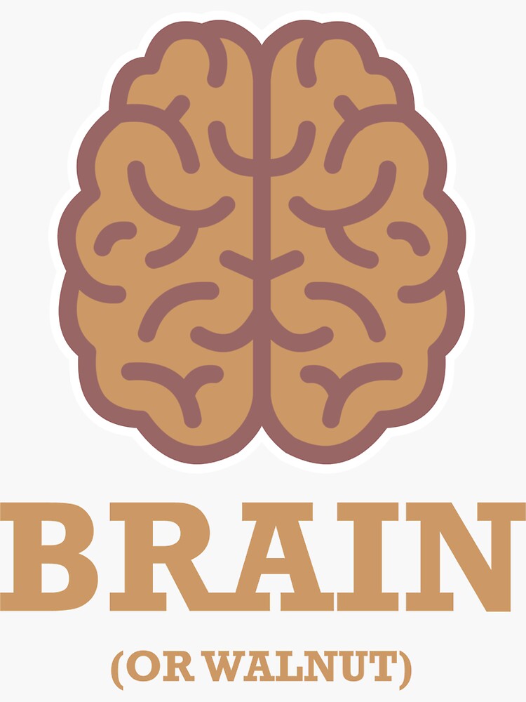 "Brain (Or Walnut)" Sticker by iconymous | Redbubble