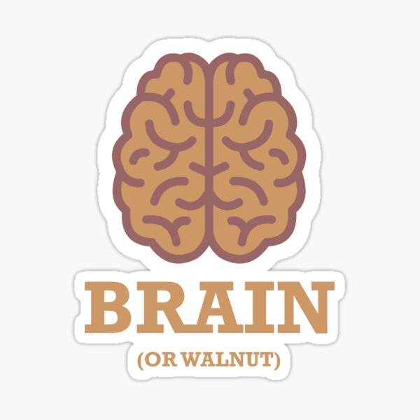 "Brain (Or Walnut)" Sticker by iconymous | Redbubble