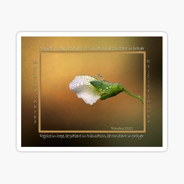 "Rejoice in Hope!" Sticker for Sale by kdxweaver | Redbubble