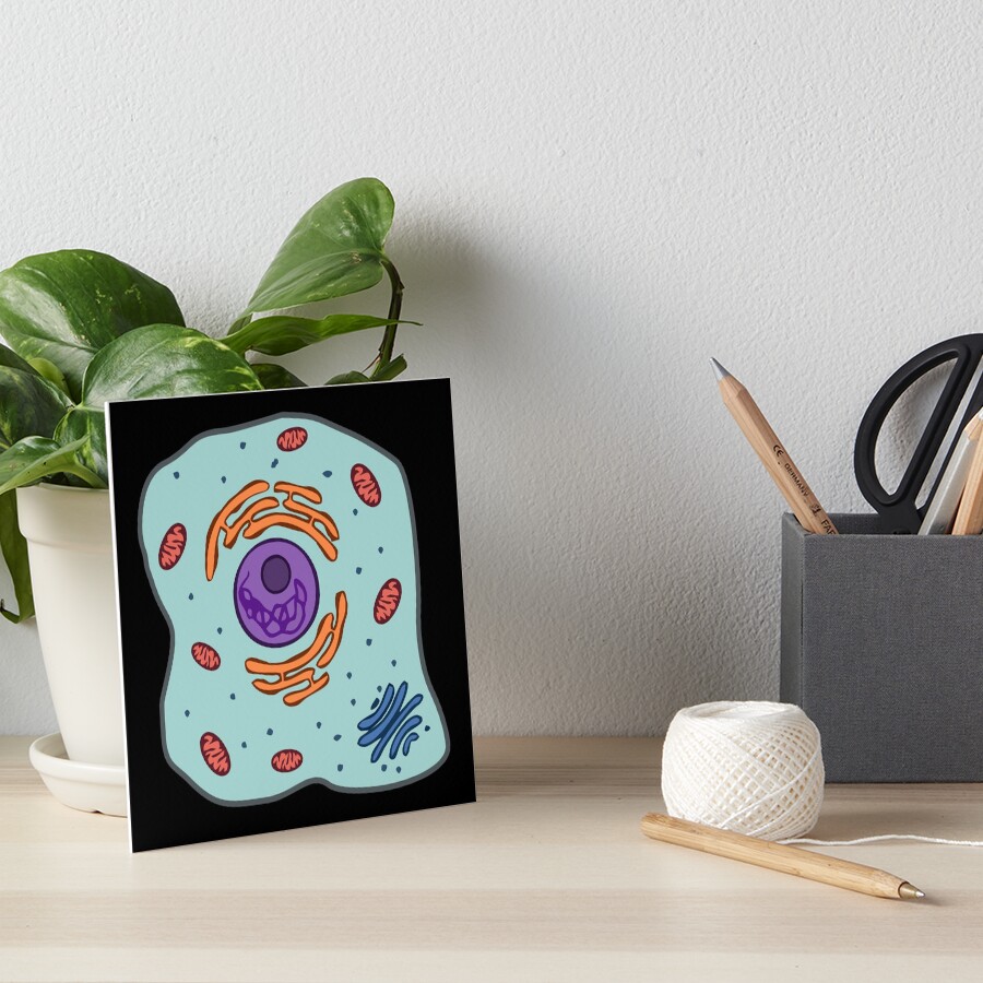 "Animal cell" Art Board Print by RosArt100 | Redbubble