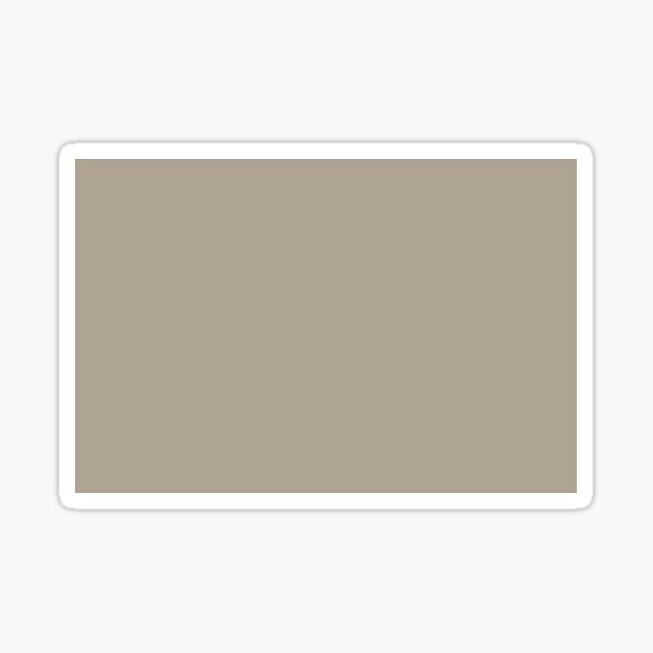 "Neutral Beige Solid Color - Patternless Pairs Pantone 2022 Popular ...