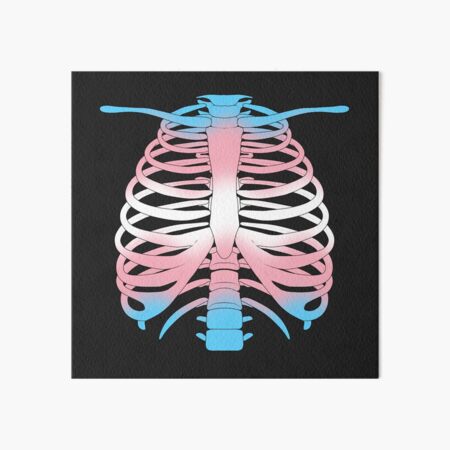 "Trans Pride Skeleton Ribcage" Art Board Print by spadesir | Redbubble