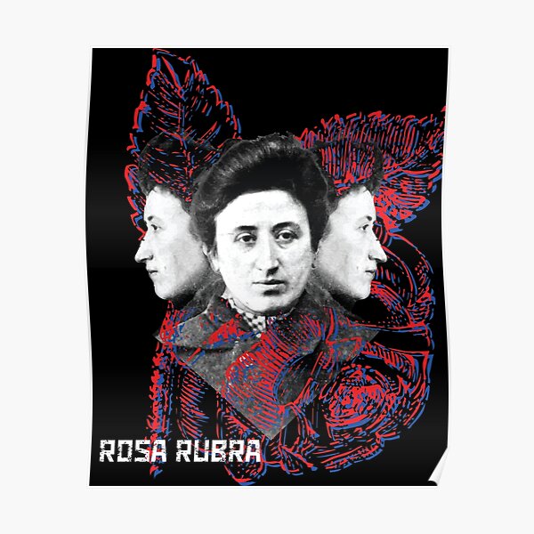 "Rosa Rubra 3D" Poster by thelostsigil | Redbubble