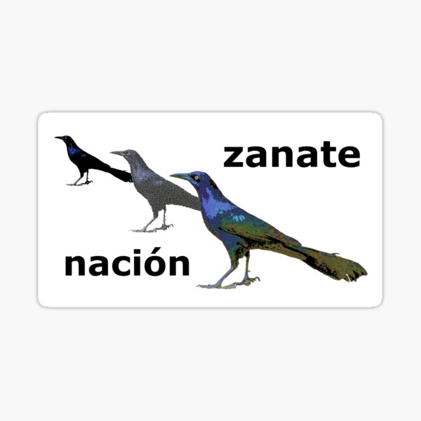 "zanate nation" Sticker for Sale by amigaboy | Redbubble