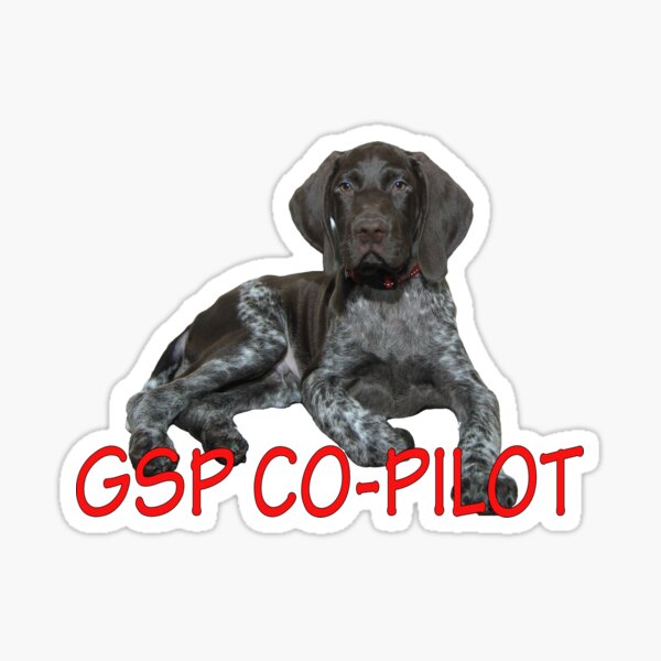 "Glossy Grizzly GSP co-pilot car sticker" Sticker for Sale by ...