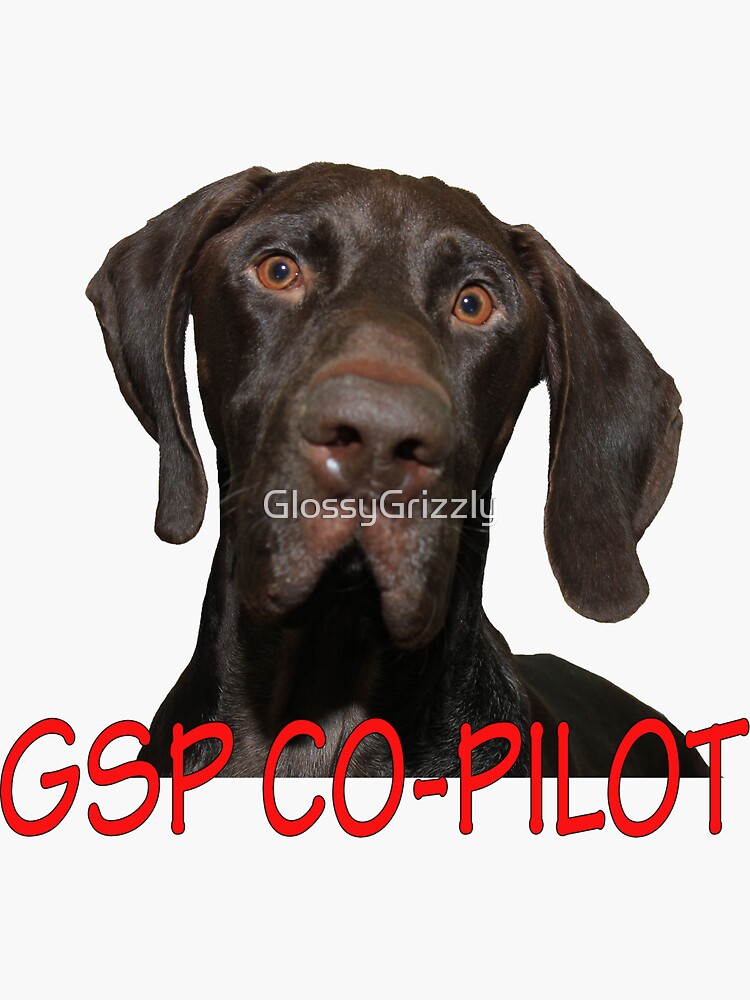 "Glossy Grizzly GSP co-pilot car sticker" Sticker by GlossyGrizzly ...
