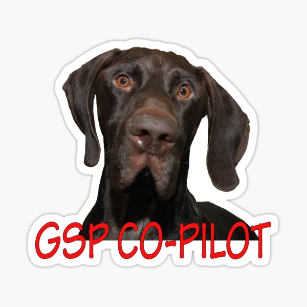 "Glossy Grizzly GSP co-pilot car sticker" Sticker by GlossyGrizzly ...