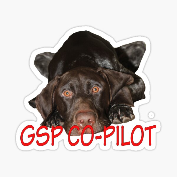 "Glossy Grizzly GSP co-pilot car sticker" Sticker by GlossyGrizzly ...