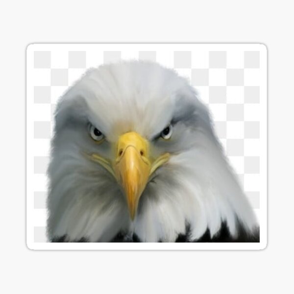 "angry eyes" Sticker by Hatemjoseph | Redbubble