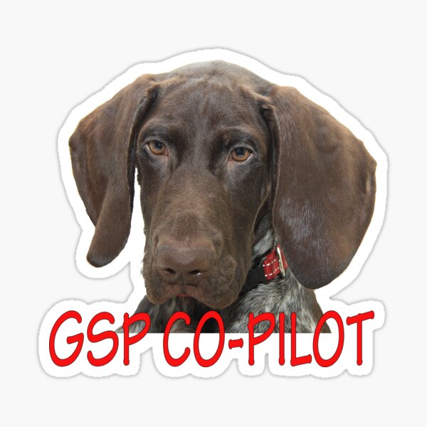 "Glossy Grizzly GSP co-pilot car sticker" Sticker by GlossyGrizzly ...