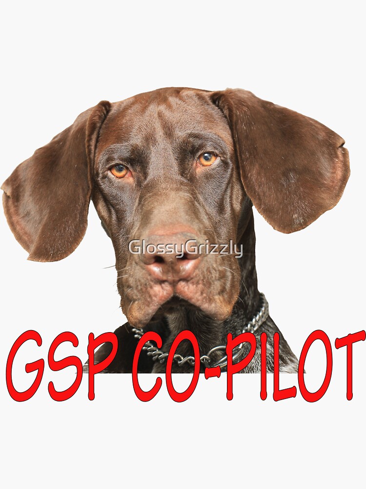 "Glossy Grizzly GSP co-pilot car sticker" Sticker by GlossyGrizzly ...