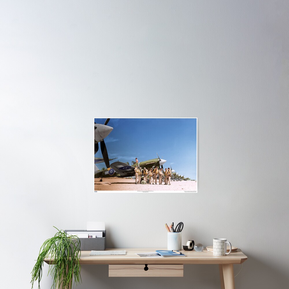 "RNZAF pilots with P-40N ''Gloria Lyons''" Poster for Sale by Rarity ...