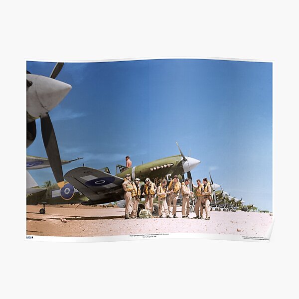 "RNZAF pilots with P-40N ''Gloria Lyons''" Poster for Sale by Rarity ...