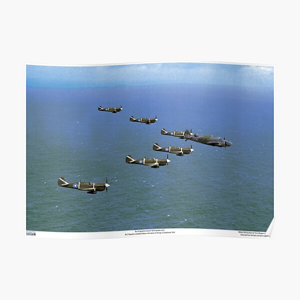"RNZAF Kittyhawks and a Lockheed Hudson in formation" Poster for Sale ...
