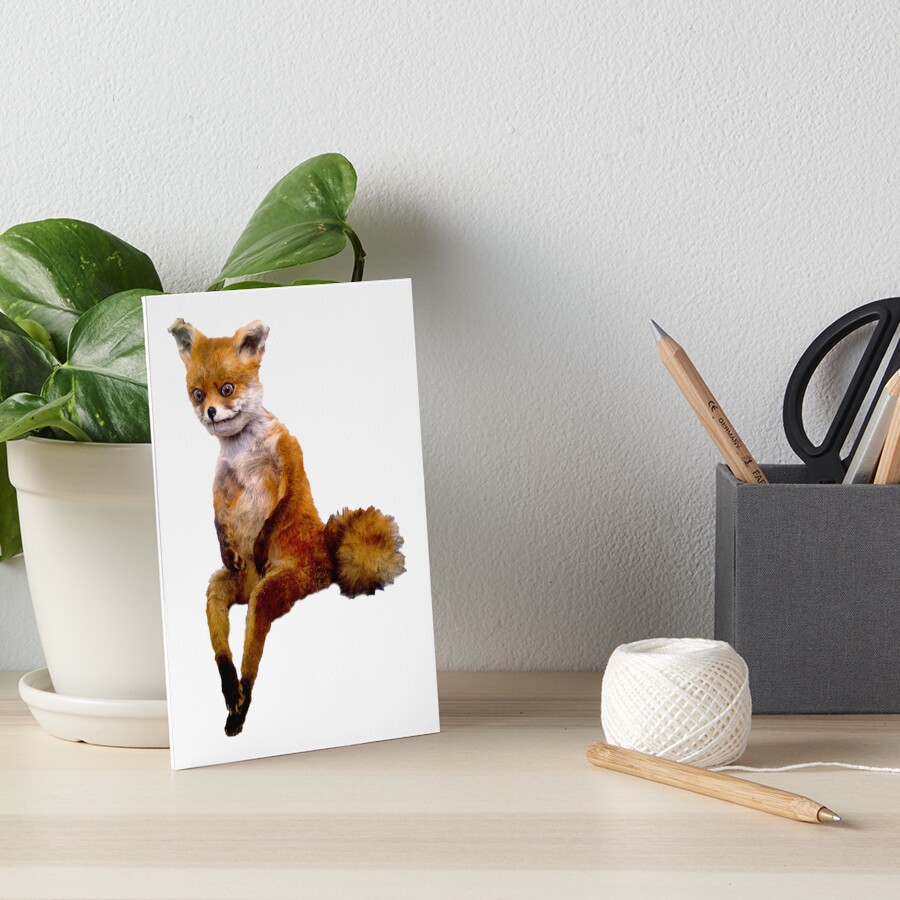 "Stoned fox the Taxidermy Fox Meme| Perfect Gift" Art Board Print for ...