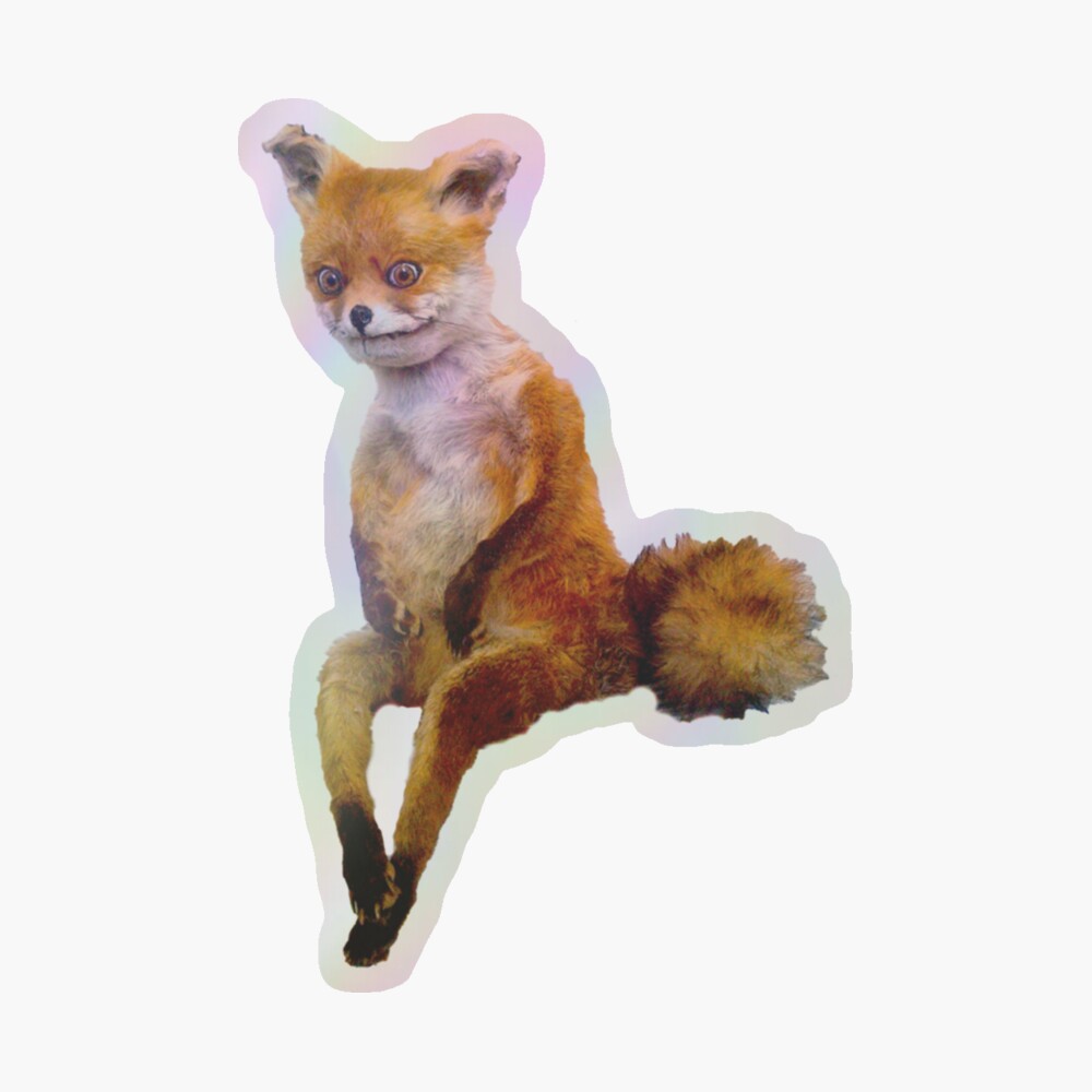 Herablassendes Fuchs Meme