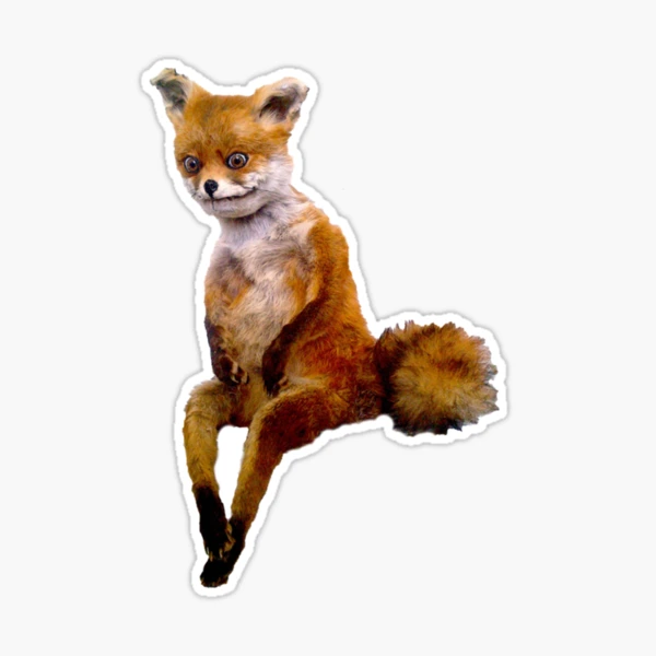 Bekiffter Fuchs Meme