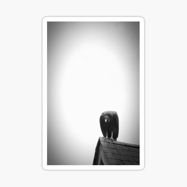 "Waiting" Sticker for Sale by SMSFineArt | Redbubble