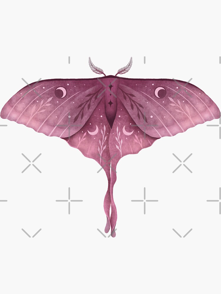 "Pink Luna Moth" Sticker by episodicDrawing | Redbubble