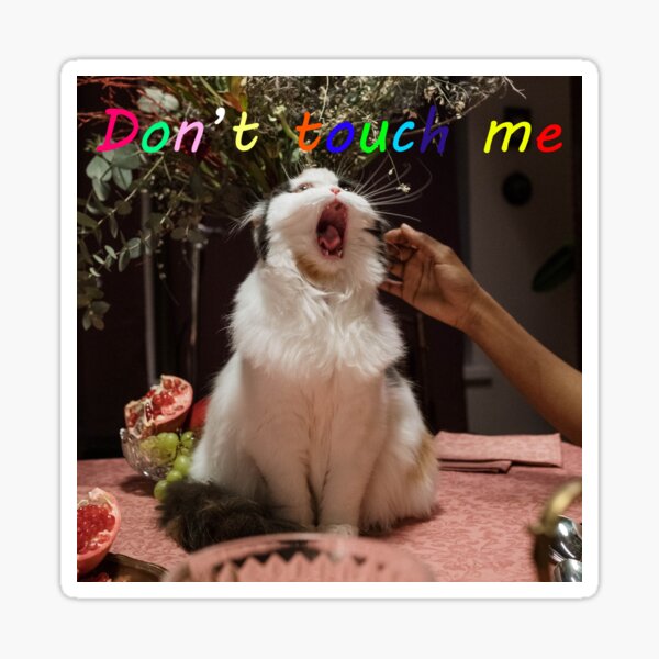 "Don't touch me cat" Sticker by we-love-god | Redbubble