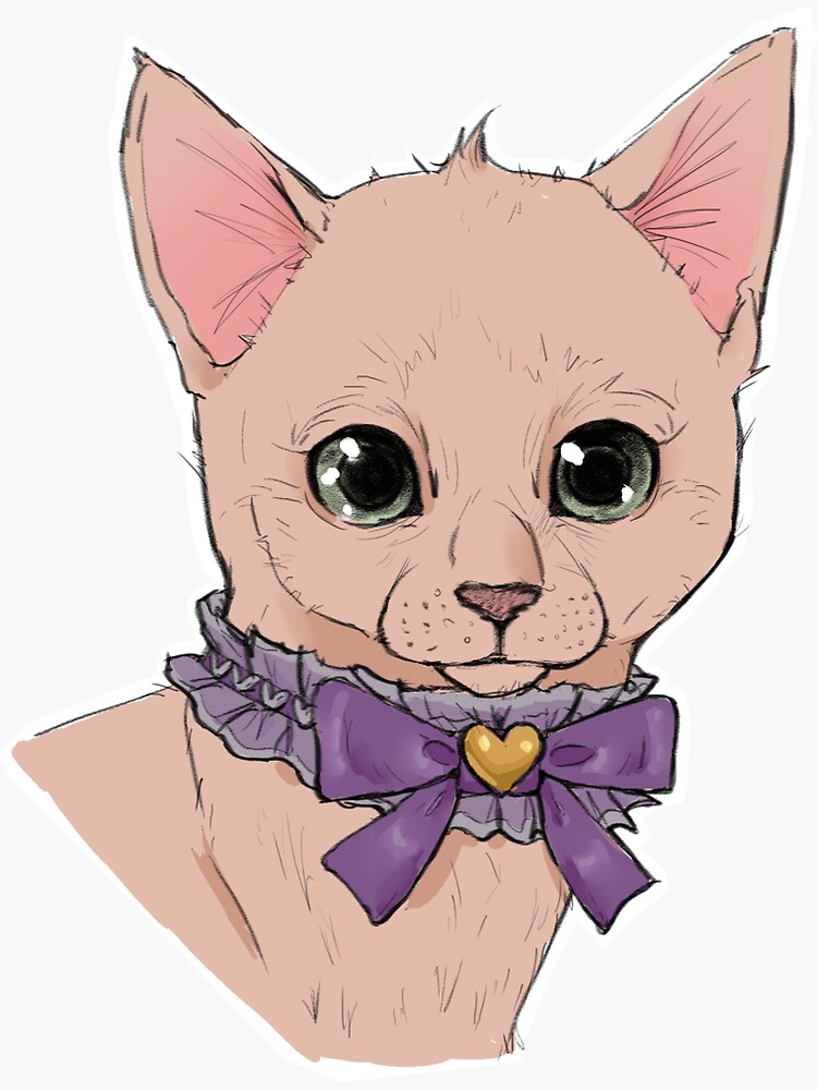 "Purple frill cat " Sticker by cutepetshop | Redbubble