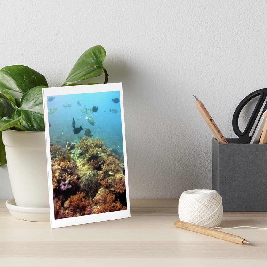"Mafia Coralscape" Art Board Print by djcm1 | Redbubble