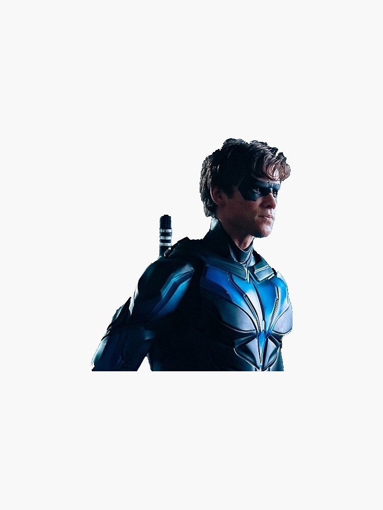 "Nightwing" Sticker for Sale by creature226 | Redbubble