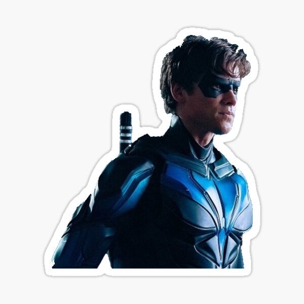 "Nightwing" Sticker for Sale by creature226 | Redbubble