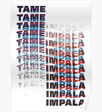 Mgmt: Posters | Redbubble