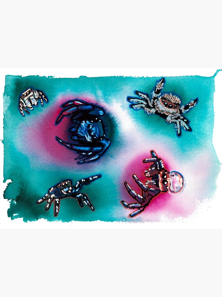 "A Clutter of Jumping Spiders" Poster by joy-wanam | Redbubble