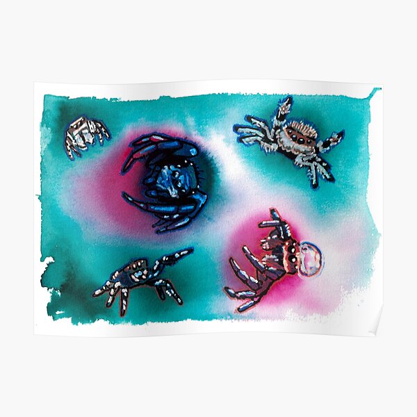"A Clutter of Jumping Spiders" Poster by joy-wanam | Redbubble