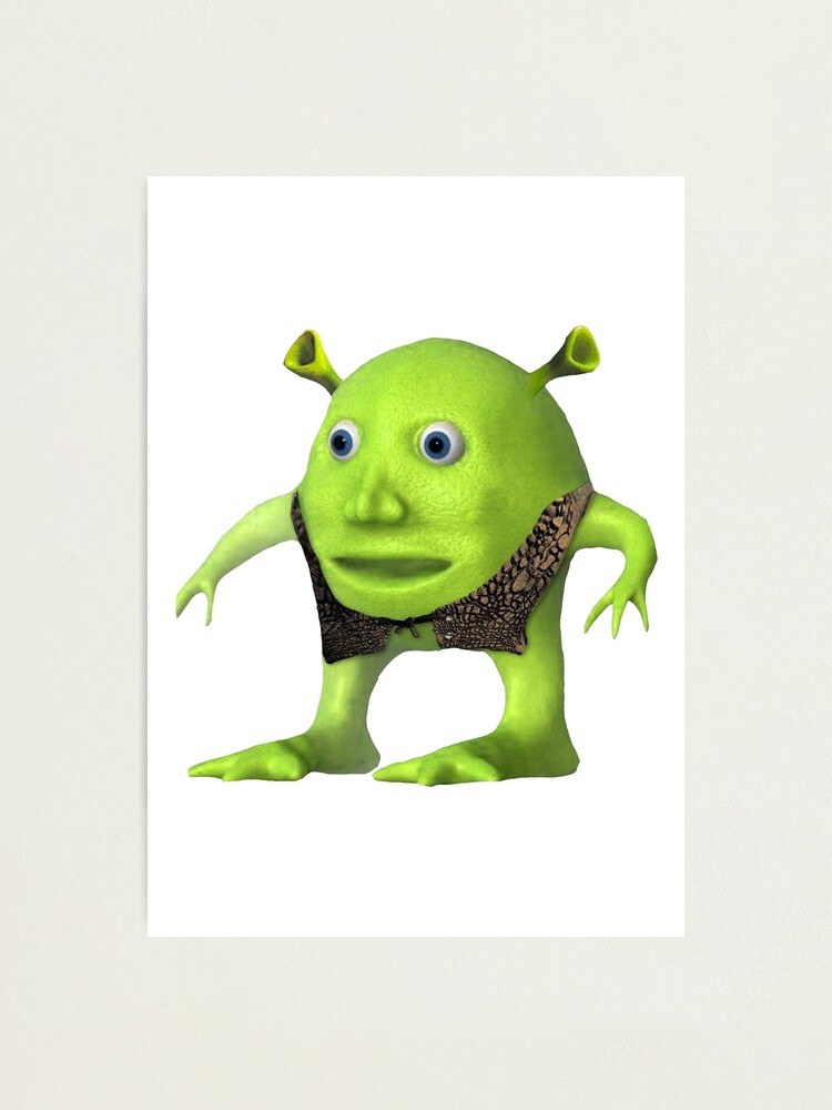 "Shrek/Mike Wazowski Meme " Photographic Print for Sale by lovelyreverie | Redbubble