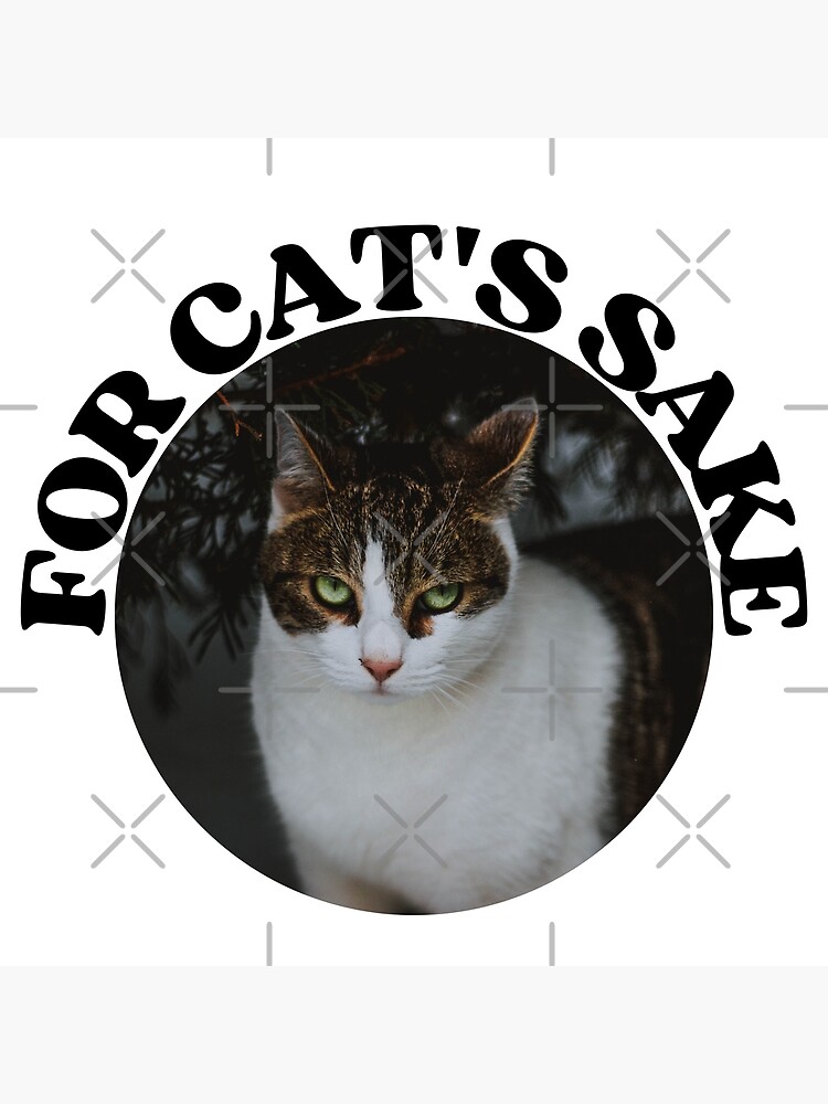 "FOR CATS SAKE - Funny Cat Pictures with Captions and Cat Sayings ...